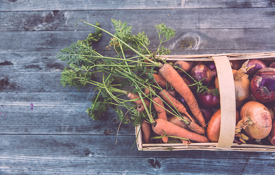 Foods That Fight Fatigue And Boost Energy - Lifetime Daily