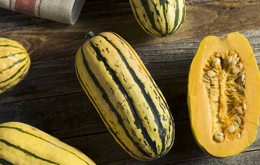 Nutrient-Rich Winter Squash: A Side Dish That Delivers - Lifetime Daily