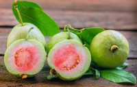 With Guava You Get a Megadose of Vitamin C - Lifetime Daily