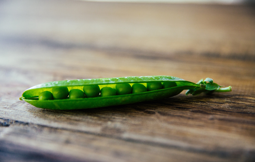 Legumes, Like Peas, Have Beneficial Effects on Blood Sugar Control ...